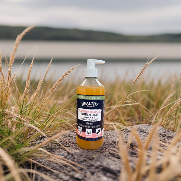 Scottish Salmon Oil with Sheepfat | Ultimate Nutrition for Dogs ...