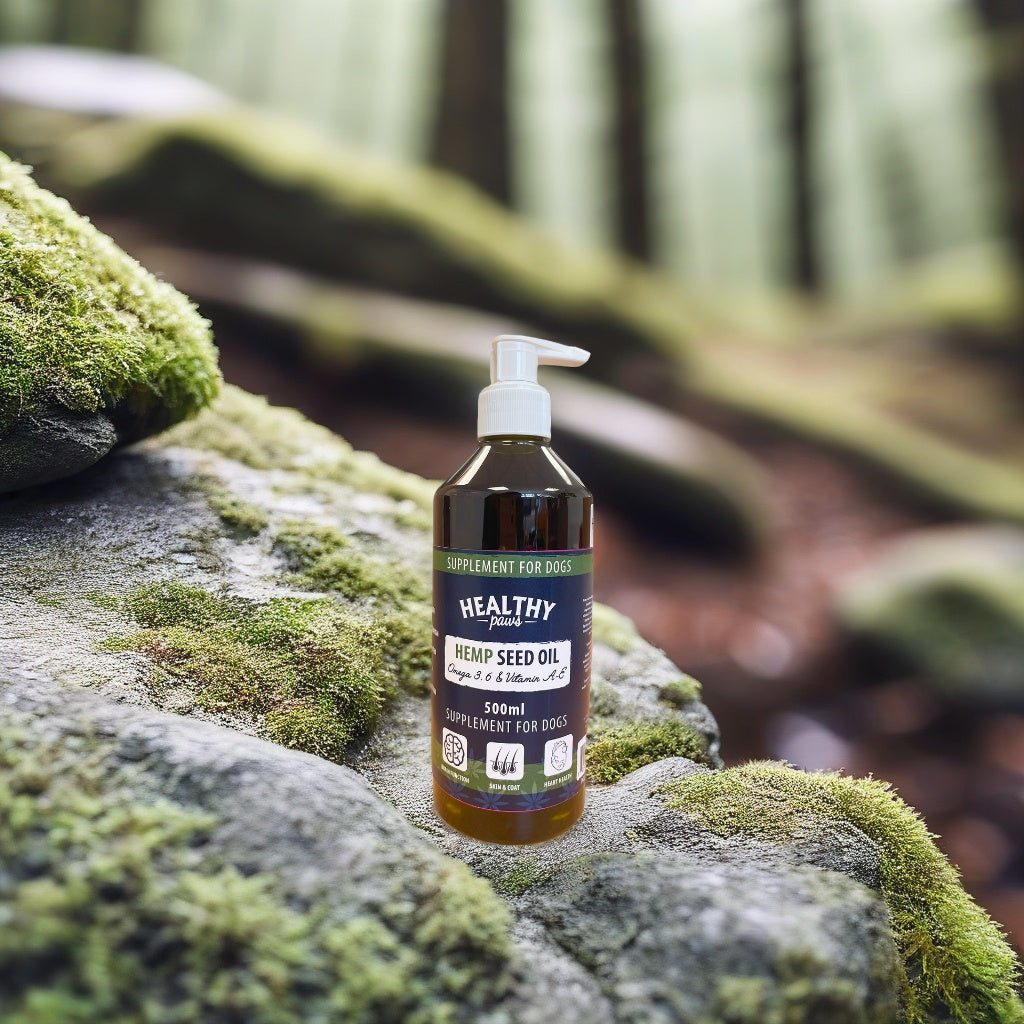 Hempseed Oil for Dogs: Natural Health Benefits & Uses – Healthy Paws