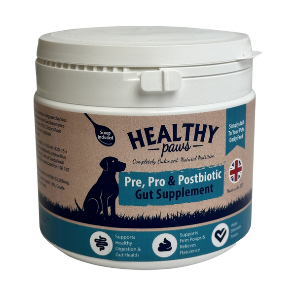 Gut Supplement for Dogs | Supports Digestion & Relieves Bloating ...