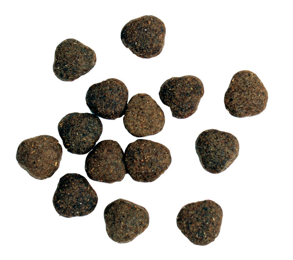 Rabbit, Duck & Brown Rice Dog Food | Wheat-Free & Palatable – Healthy Paws